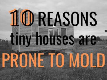 Mold-Free Building Archives - My Chemical-Free House