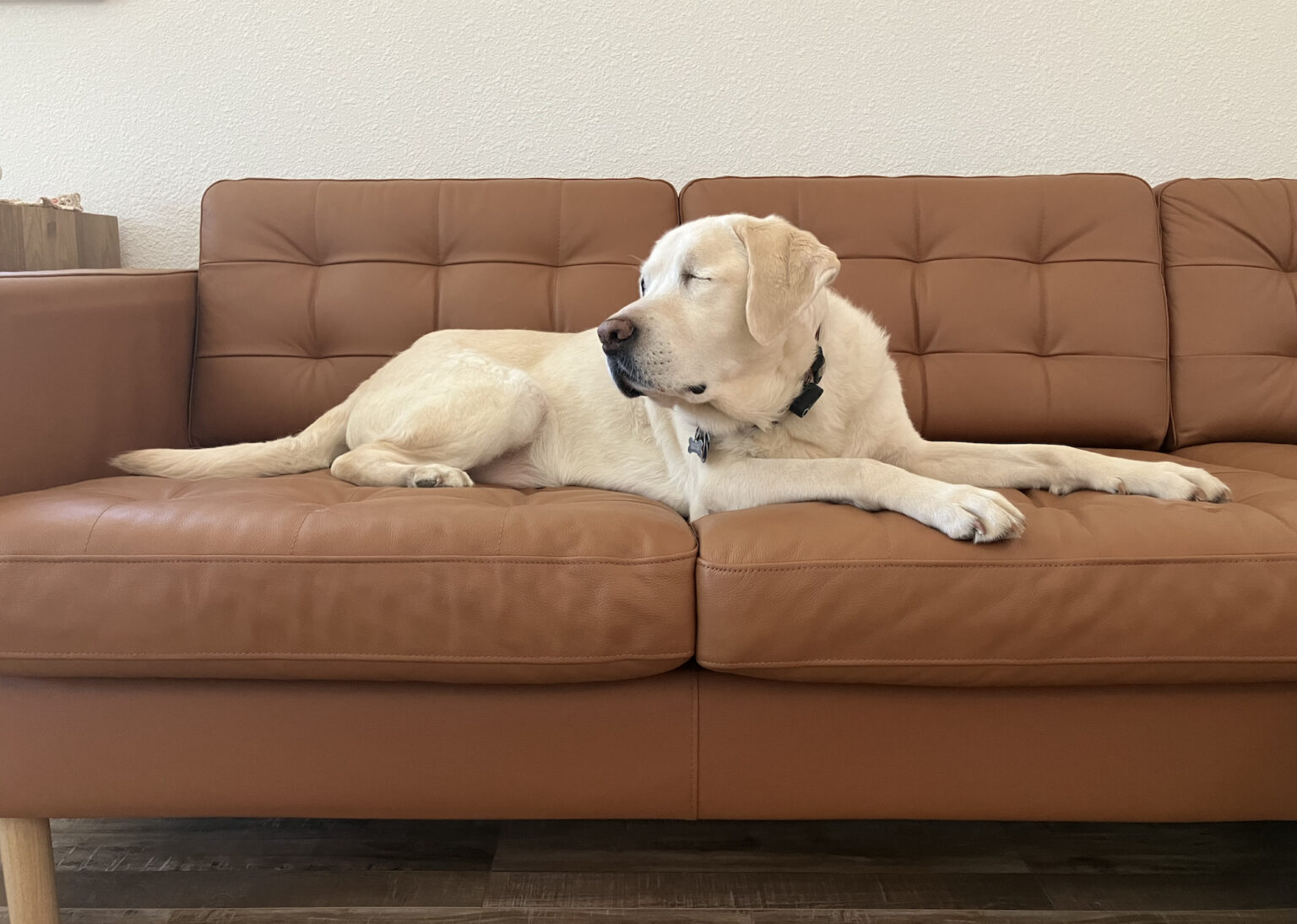 The 10 Most Affordable Non-Toxic Sofas - My Chemical-Free House